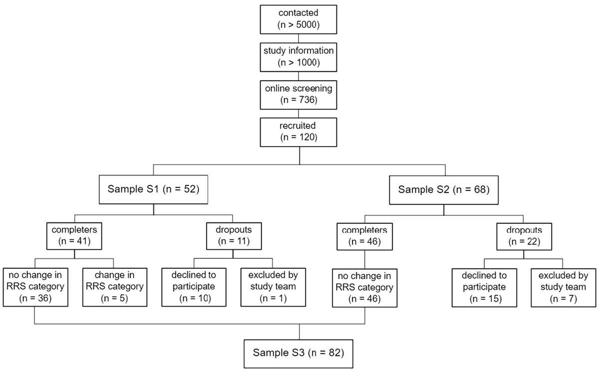 Frontiers | On assessing trait rumination using the Ruminative Response ...