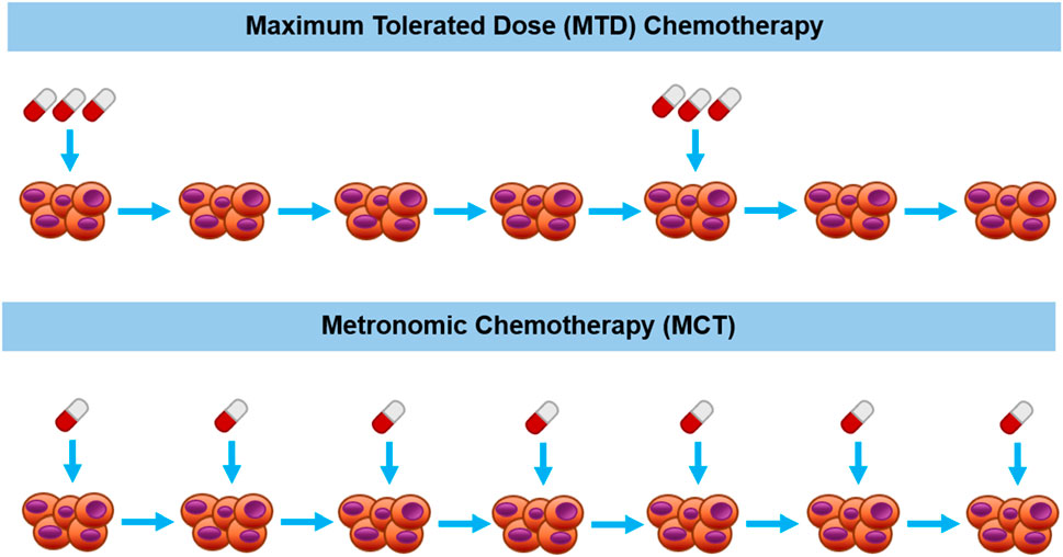 Frontiers | Optimizing cancer therapy: a review of the multifaceted ...