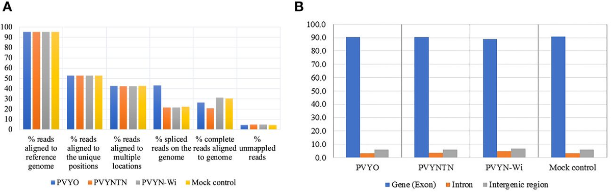 Frontiers | Transcriptional and functional predictors of potato virus Y ...