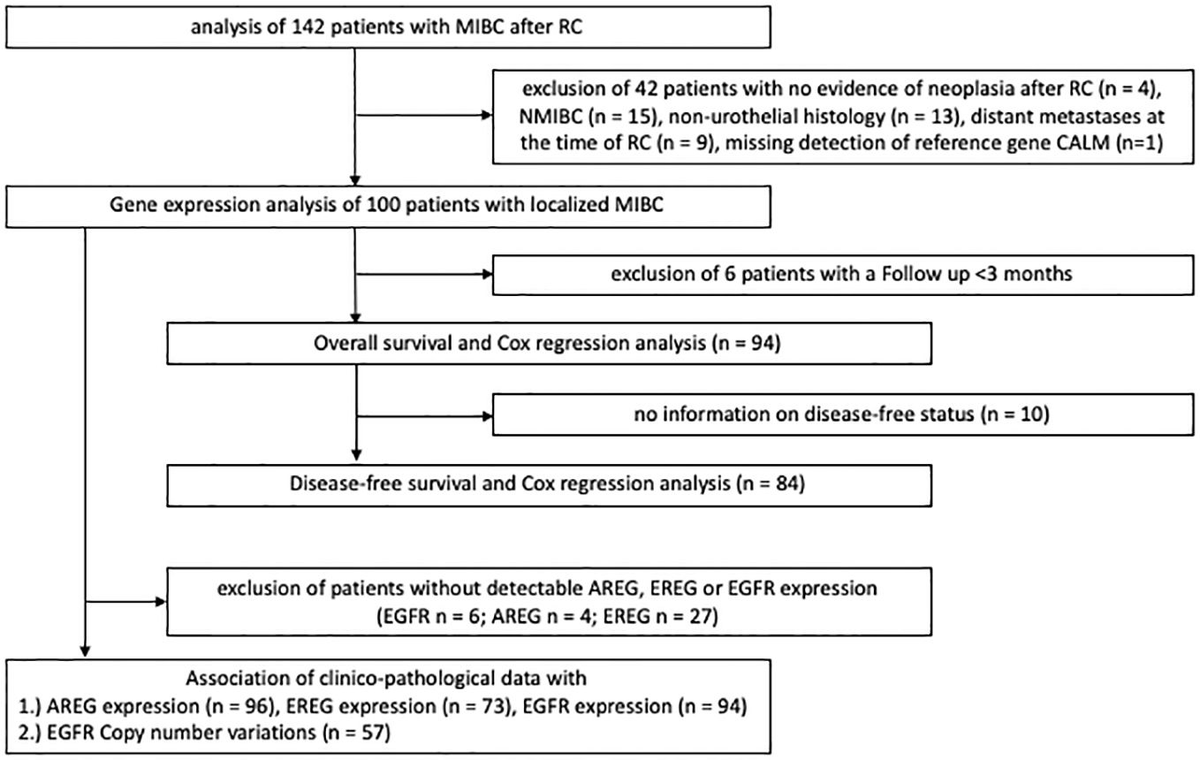 Frontiers | Prognostic significance of EGFR, AREG and EREG ...