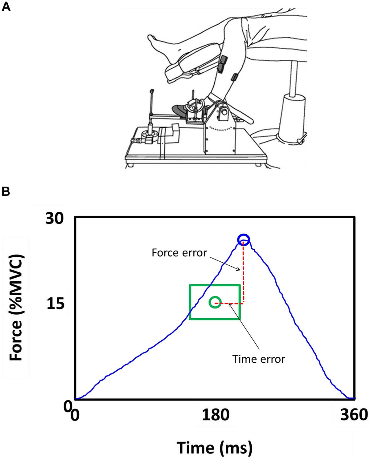 Frontiers | Force dysmetria in spinocerebellar ataxia 6 correlates with ...