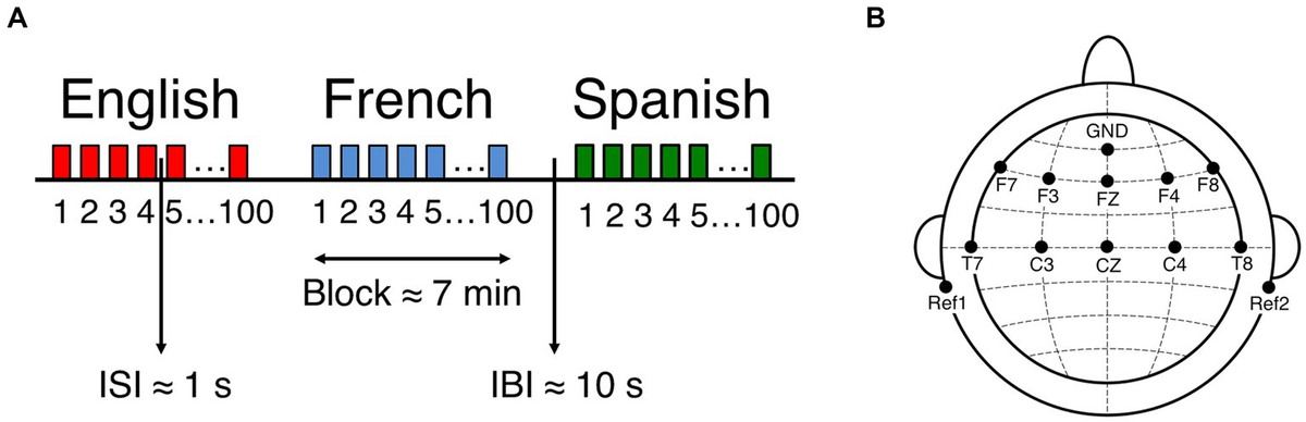 Frontiers | Predicting language outcome at birth