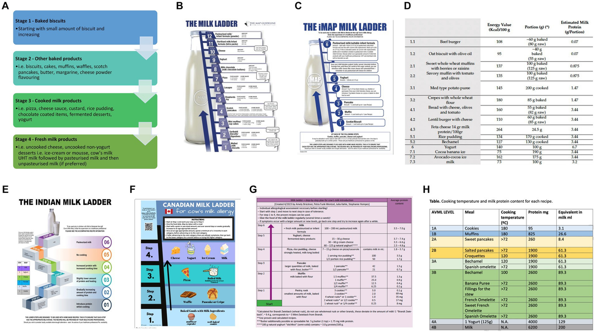 Frontiers | The future of cow’s milk allergy – milk ladders in IgE ...