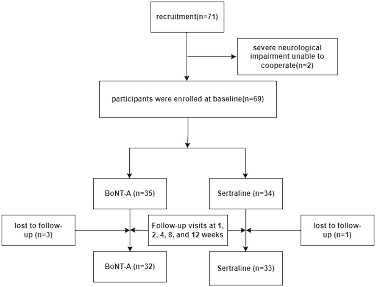 Frontiers | A novel approach to treating post-stroke depression ...
