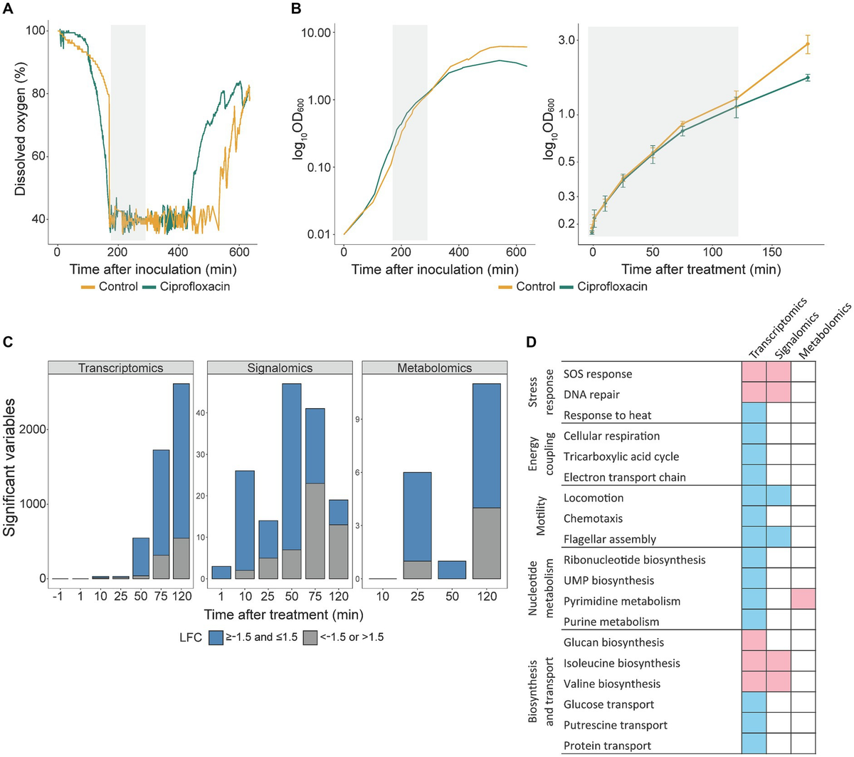 Frontiers | SOS genes are rapidly induced while translesion synthesis ...