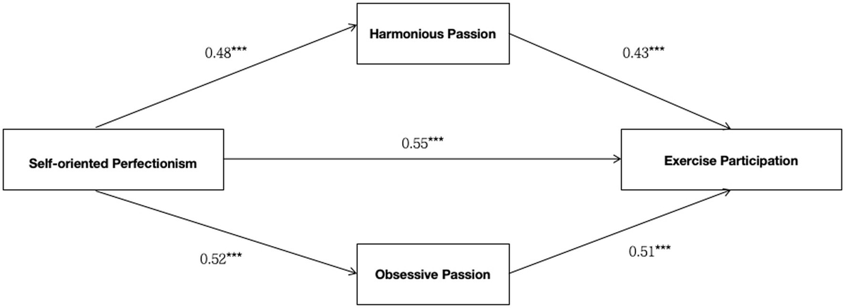 Frontiers | The relationship between self-oriented perfectionism and ...