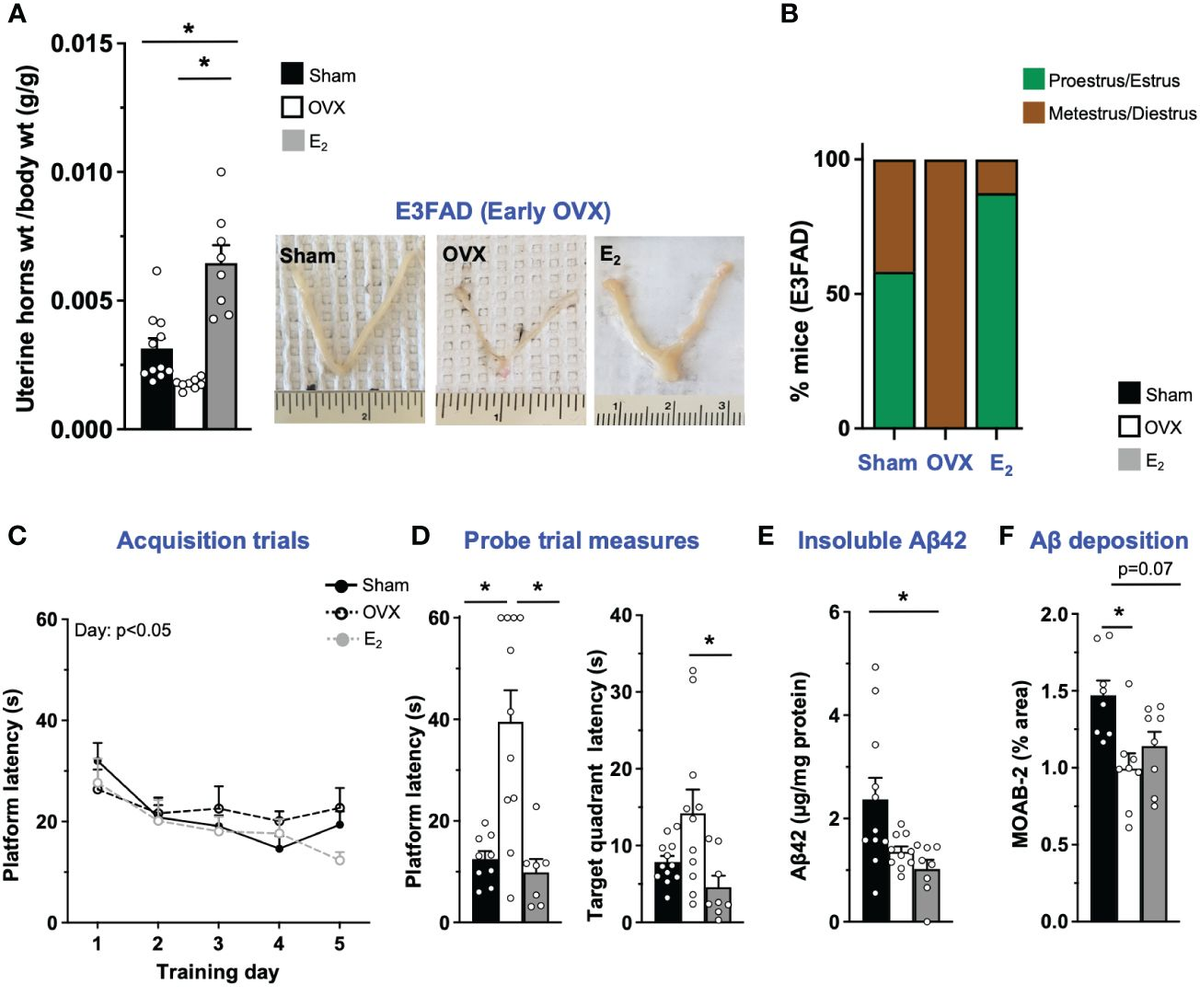 Frontiers | Estradiol improves behavior in FAD transgenic mice that ...