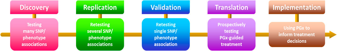 Frontiers | Editorial: Molecular targets for anticancer drug discovery ...