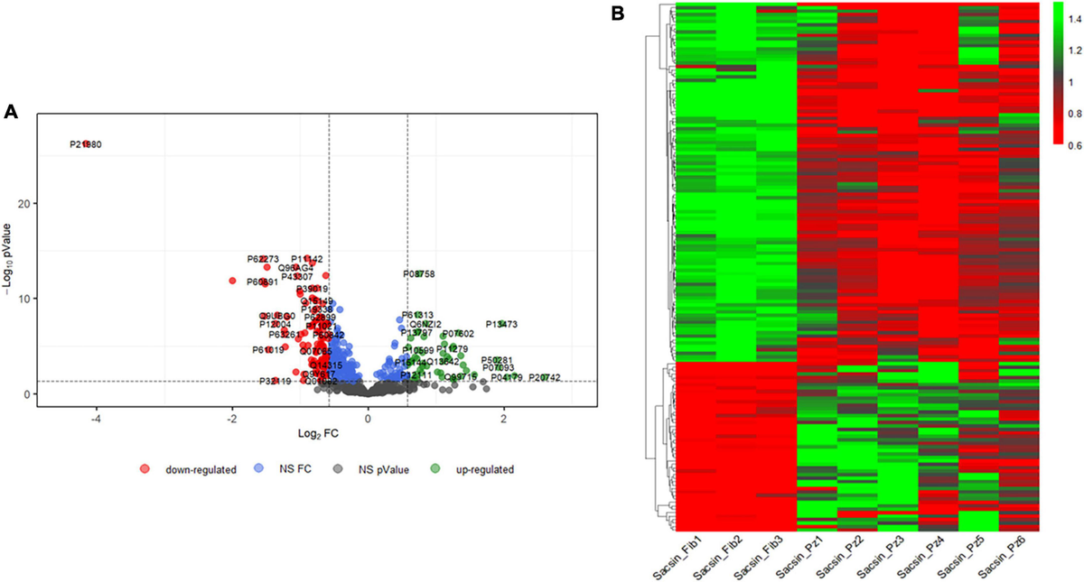 Frontiers | Proteomics and lipidomic analysis reveal dysregulated ...