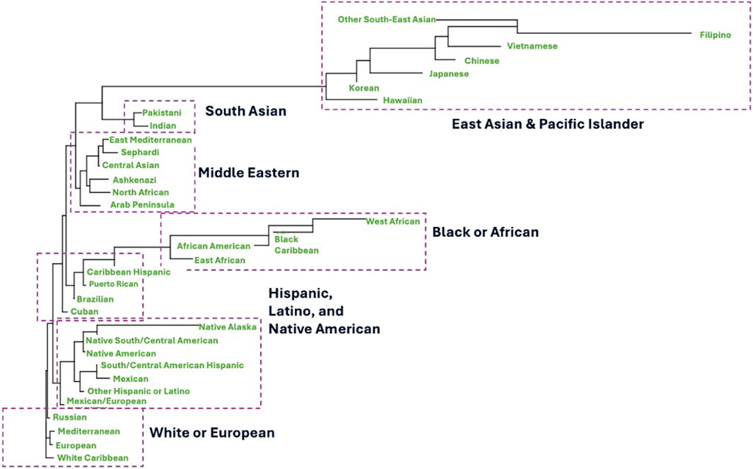 Frontiers | Race, ethnicity, ancestry, and aspects that impact HLA data ...