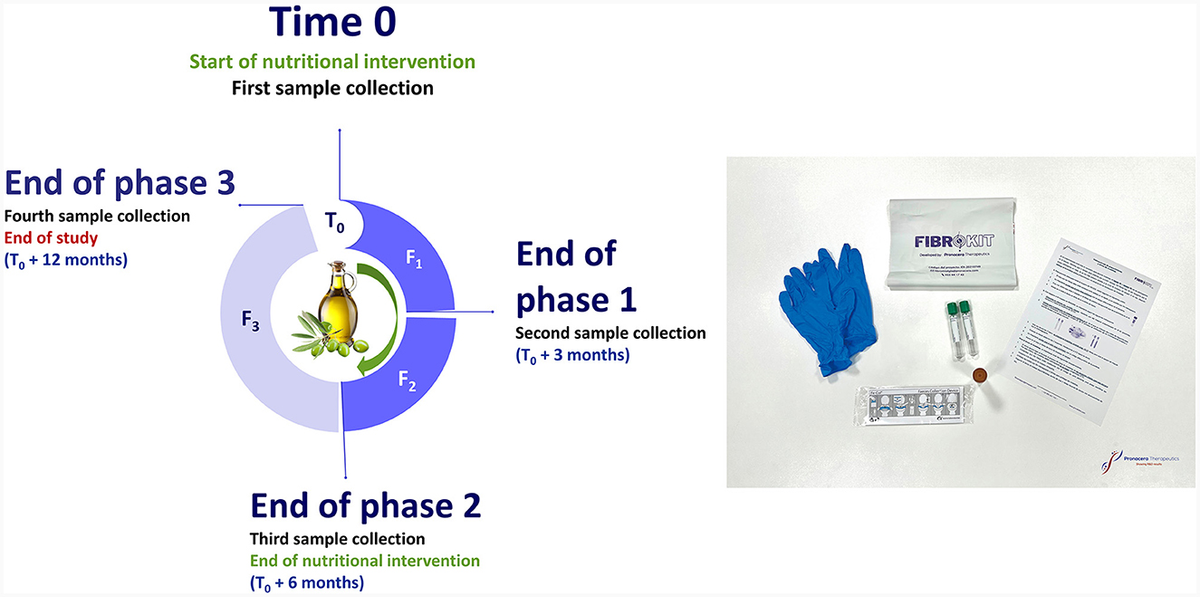 Frontiers | Corrigendum: Study protocol for FIBROKIT: a new tool for ...