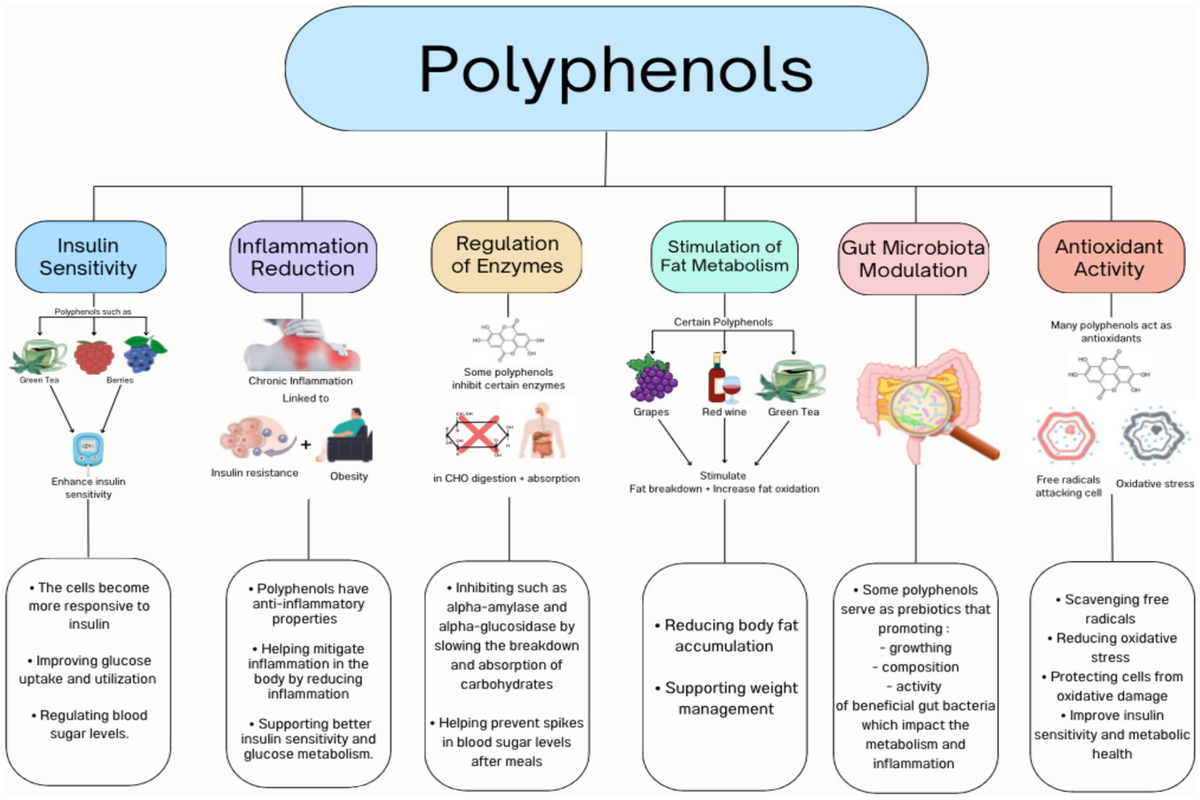 Frontiers | Do polyphenols affect body fat and/or glucose metabolism?