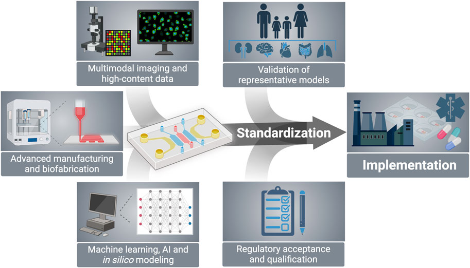 Frontiers | Guiding organs-on-chips towards applications: a balancing ...