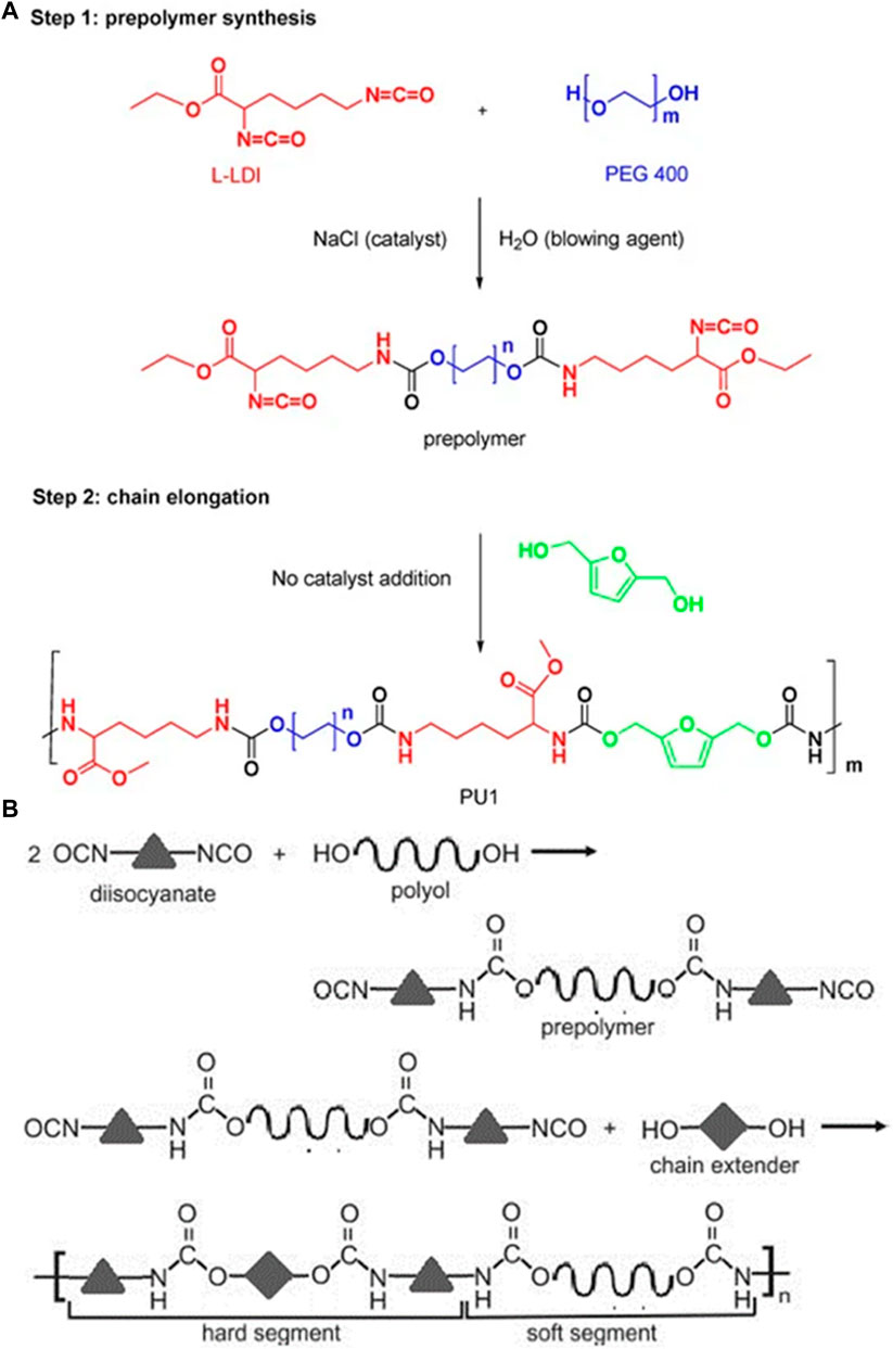 Frontiers | The state-of-art polyurethane nanoparticles for drug ...