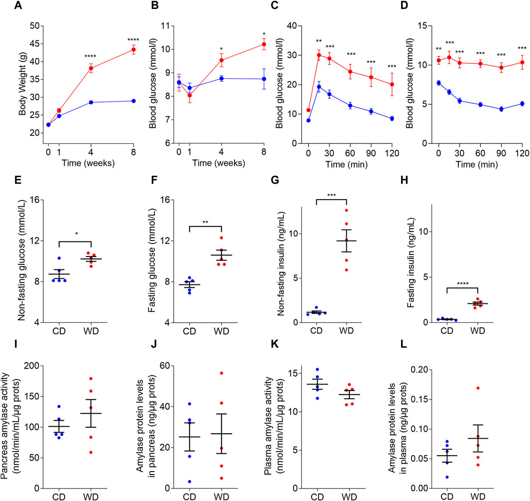 Frontiers | Western diet-induced ultrastructural changes in mouse ...
