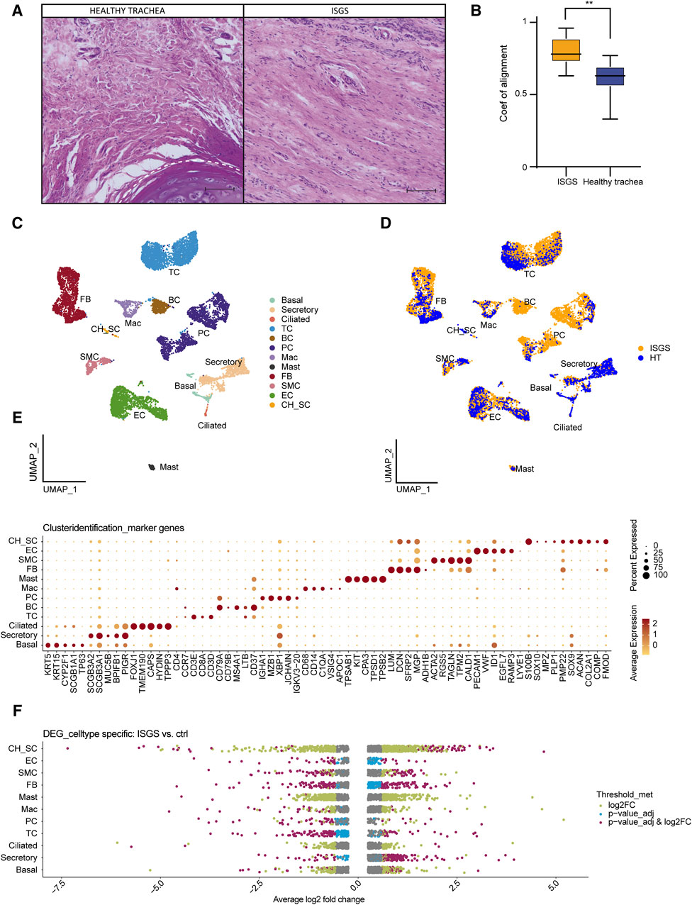 Frontiers | Transcriptional profiling sheds light on the fibrotic ...