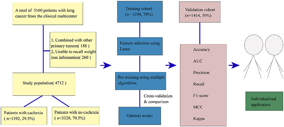 Frontiers | Identification of cachexia in lung cancer patients with an ...