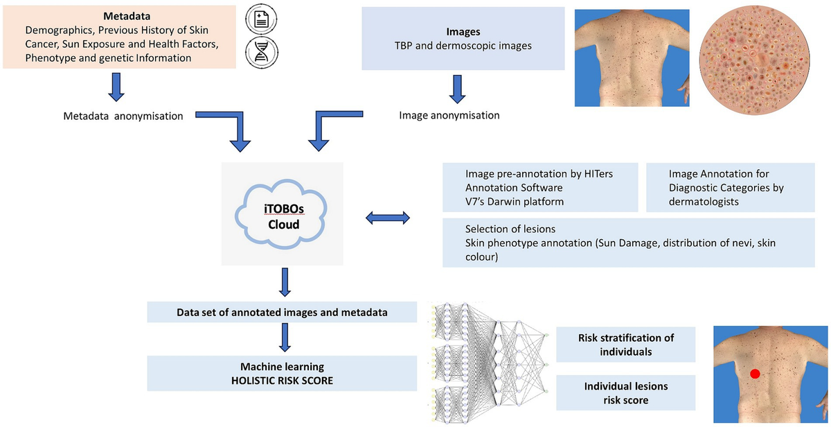 Frontiers | A protocol for annotation of total body photography for ...