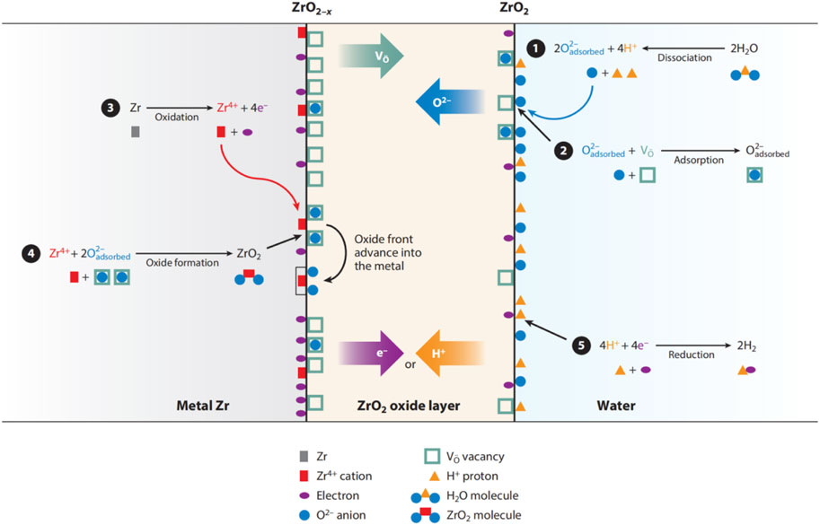 Frontiers | Understanding the high-temperature corrosion behavior of ...