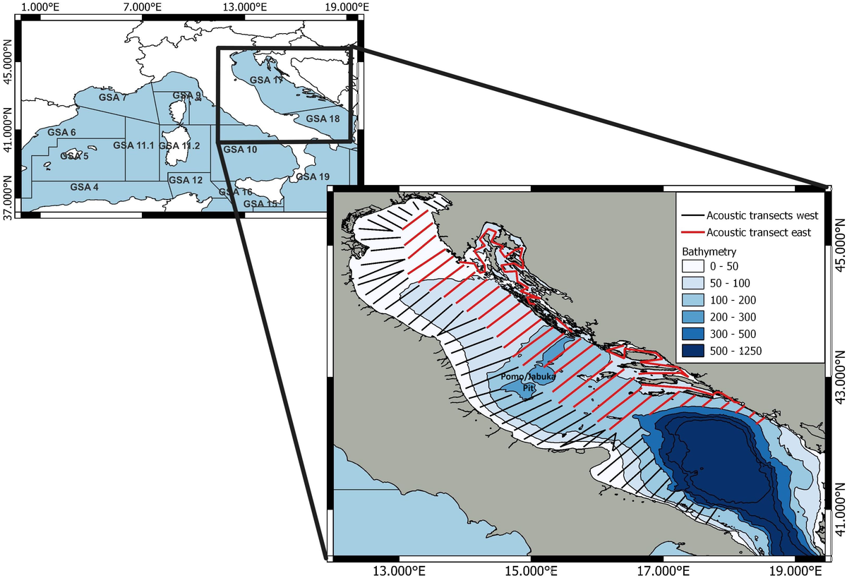 Frontiers | Modeling of the habitat suitability of European sprat ...