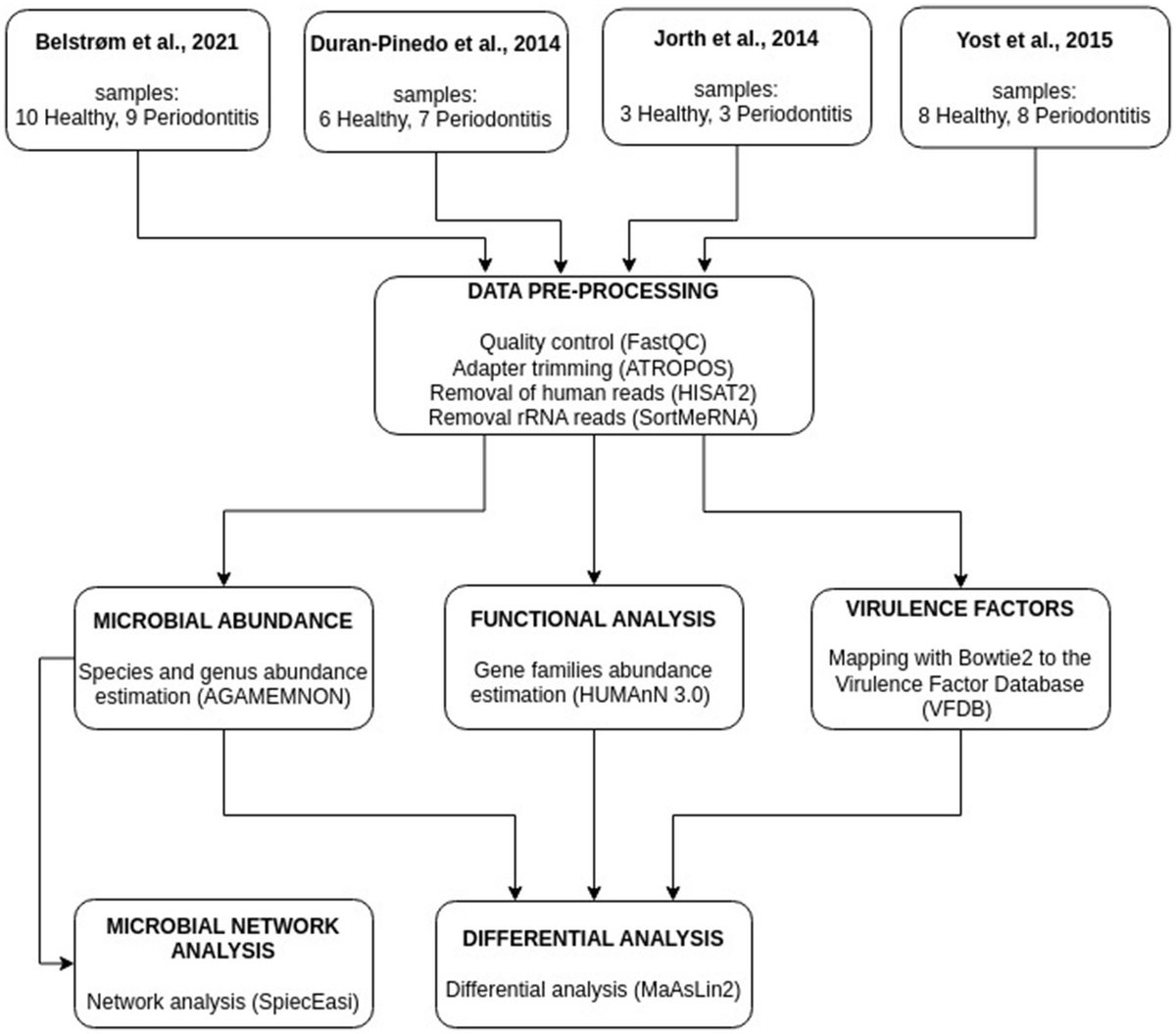 Frontiers | Microbial signatures in human periodontal disease: a ...