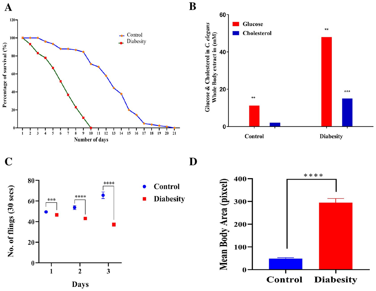 Frontiers | Exploring diabesity pathophysiology through proteomic ...