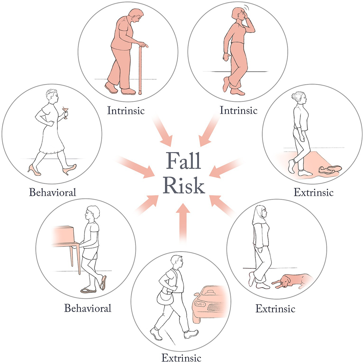 Frontiers | Aberrant decision-making as a risk factor for falls in aging
