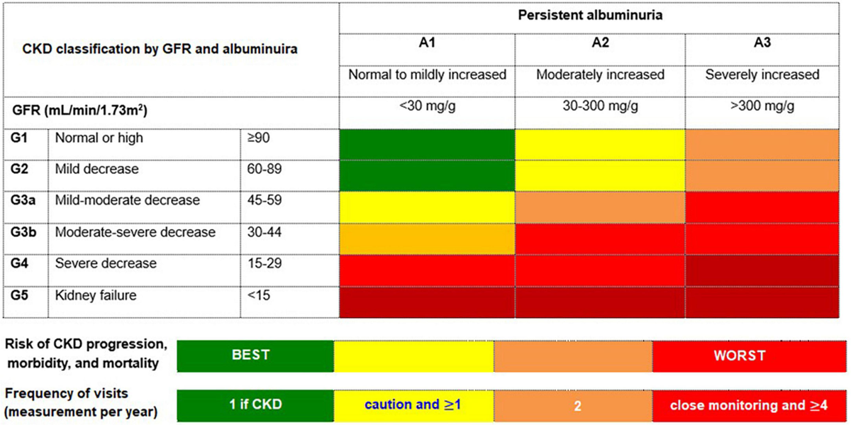 Frontiers | The significance of finerenone as a novel therapeutic ...