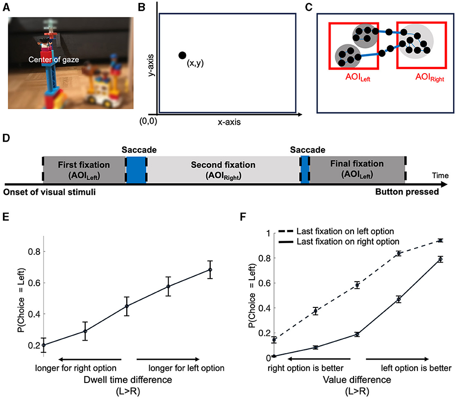 Frontiers | Unraveling information processes of decision-making with ...