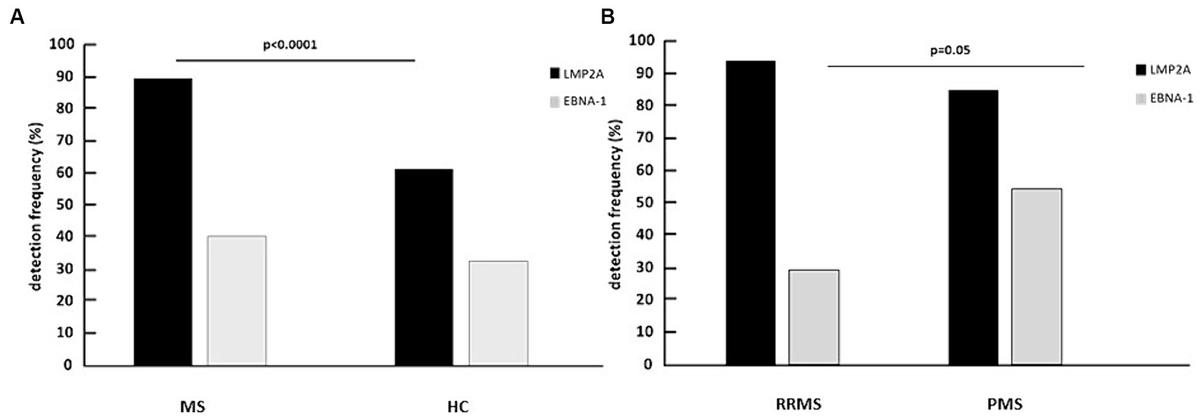 Frontiers | EBV and multiple sclerosis: expression of LMP2A in MS patients
