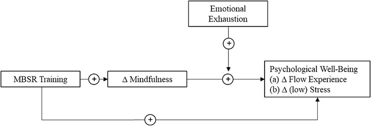 Frontiers | Trajectories of mindfulness, flow experience, and stress ...