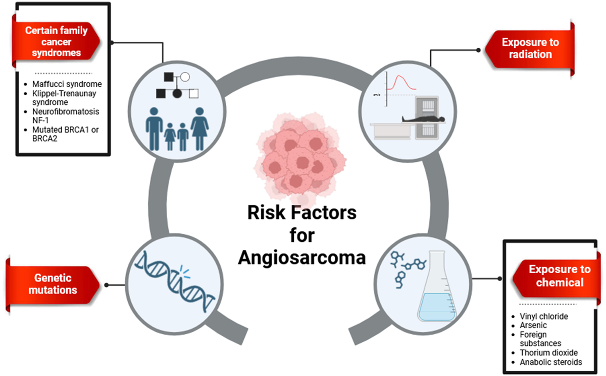 Frontiers | MicroRNAs and angiosarcoma: are there promising reports?