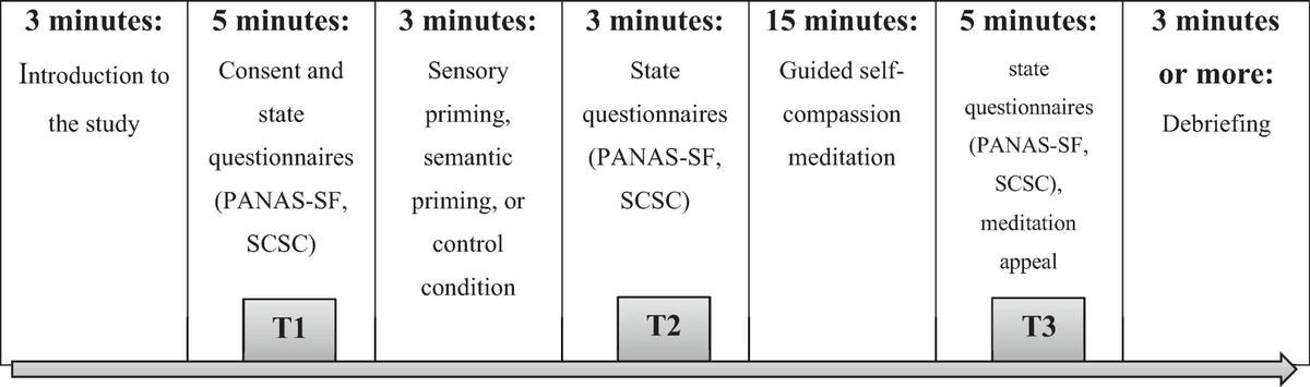 Frontiers | Can sensory and semantic priming enhance the effects of ...