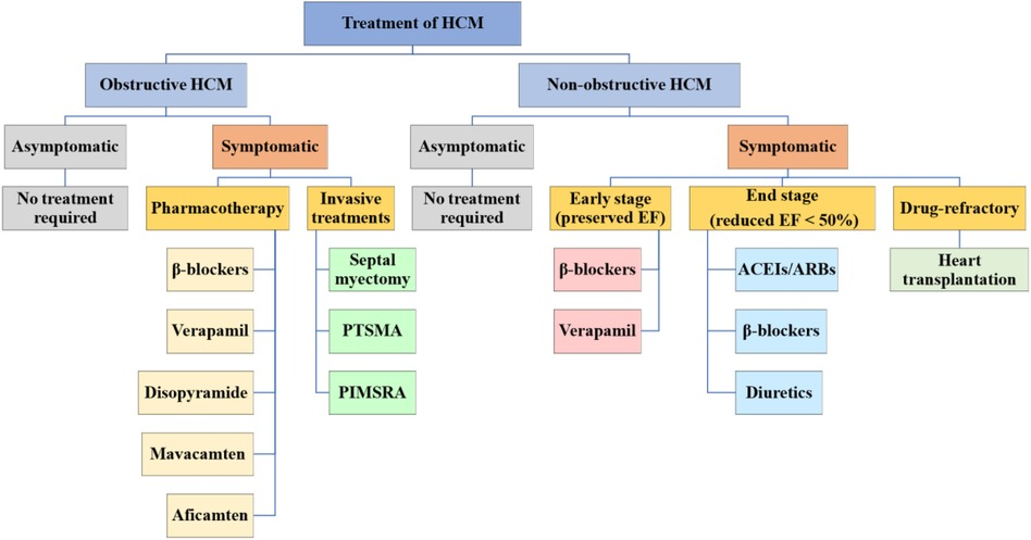 Frontiers | An overview of the treatments for hypertrophic cardiomyopathy