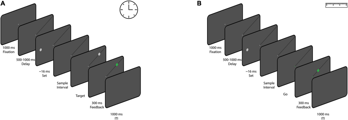 Frontiers | Same principle, but different computations in representing time and space