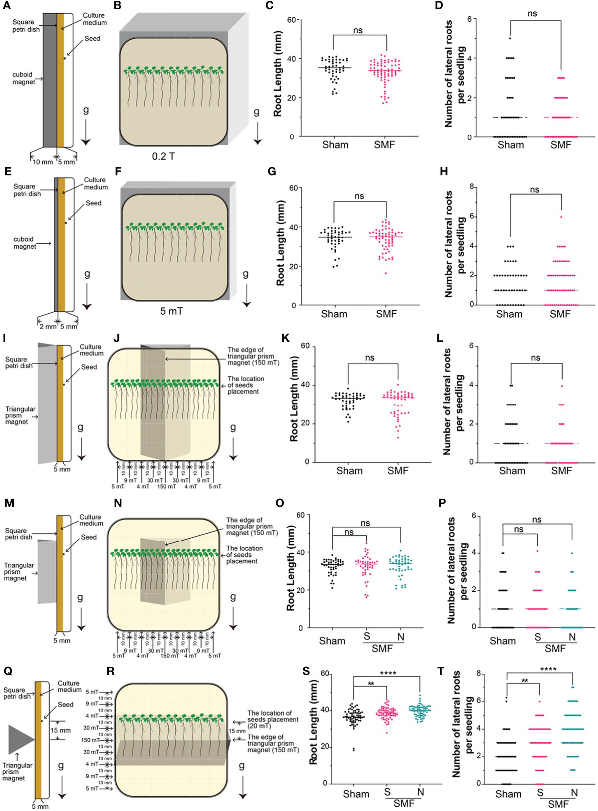Frontiers Comparative Transcriptomic Analysis Revealed Important