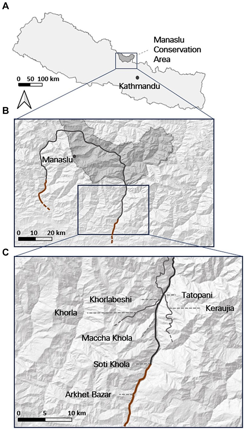 Frontiers | Mule trains to mountain roads: the role of working mules in ...