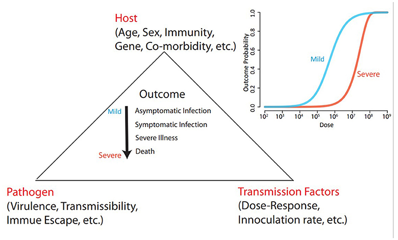 Frontiers | Severity of respiratory tract infections depends on the ...