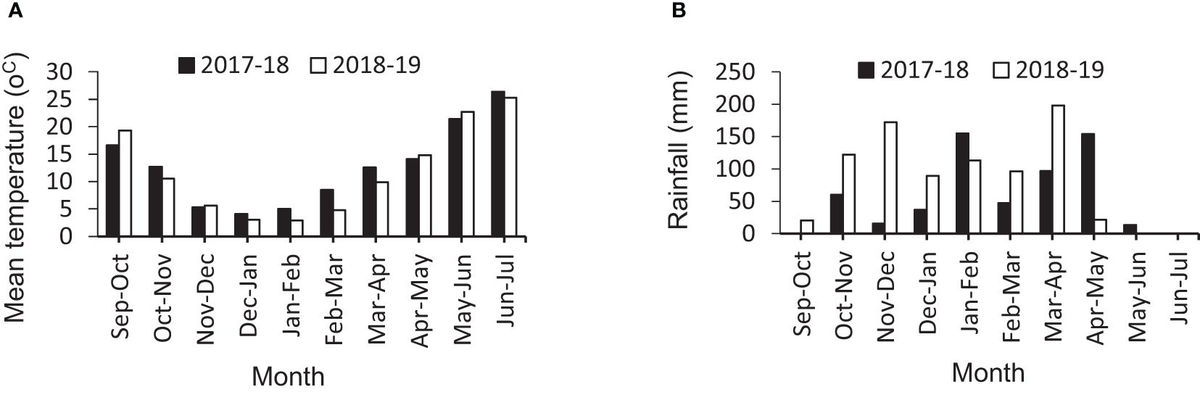 Frontiers | Evaluation of source–sink manipulation through defoliation ...