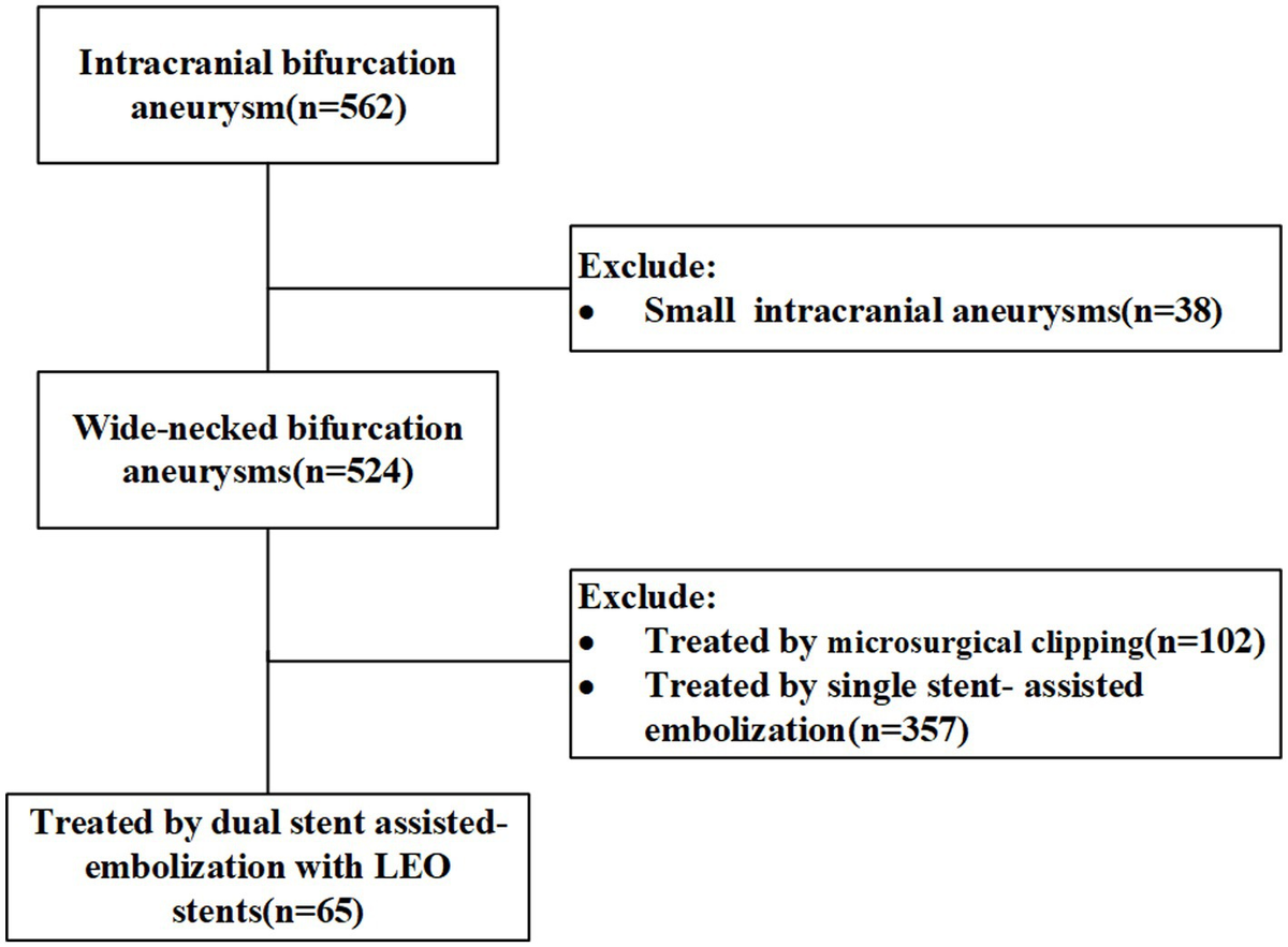 Frontiers Safety And Effectiveness Of Leo Stents For Dual Stent