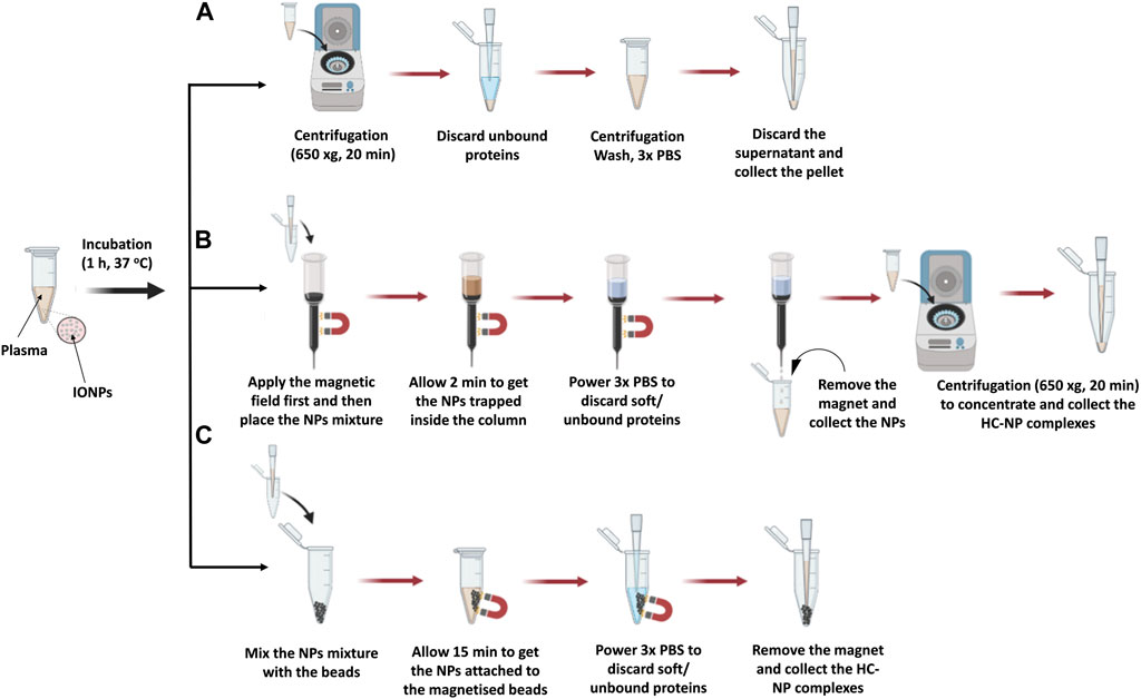 Frontiers | Protocols for isolation and characterization of ...