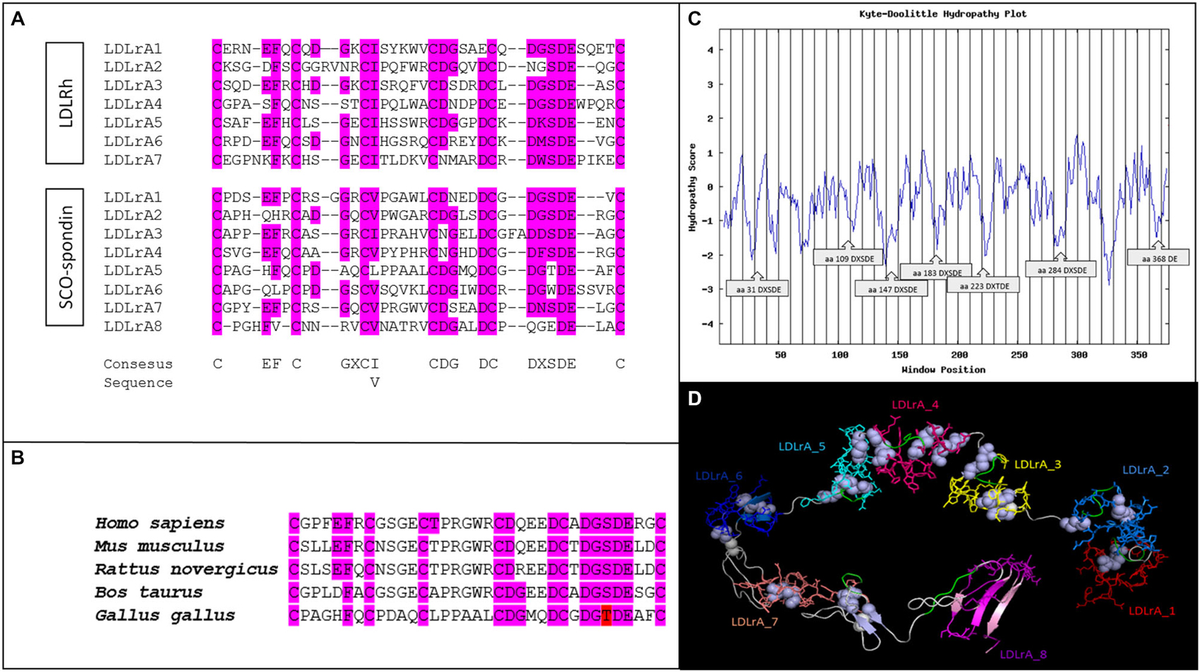 Frontiers | Interaction between SCO-spondin and low density ...