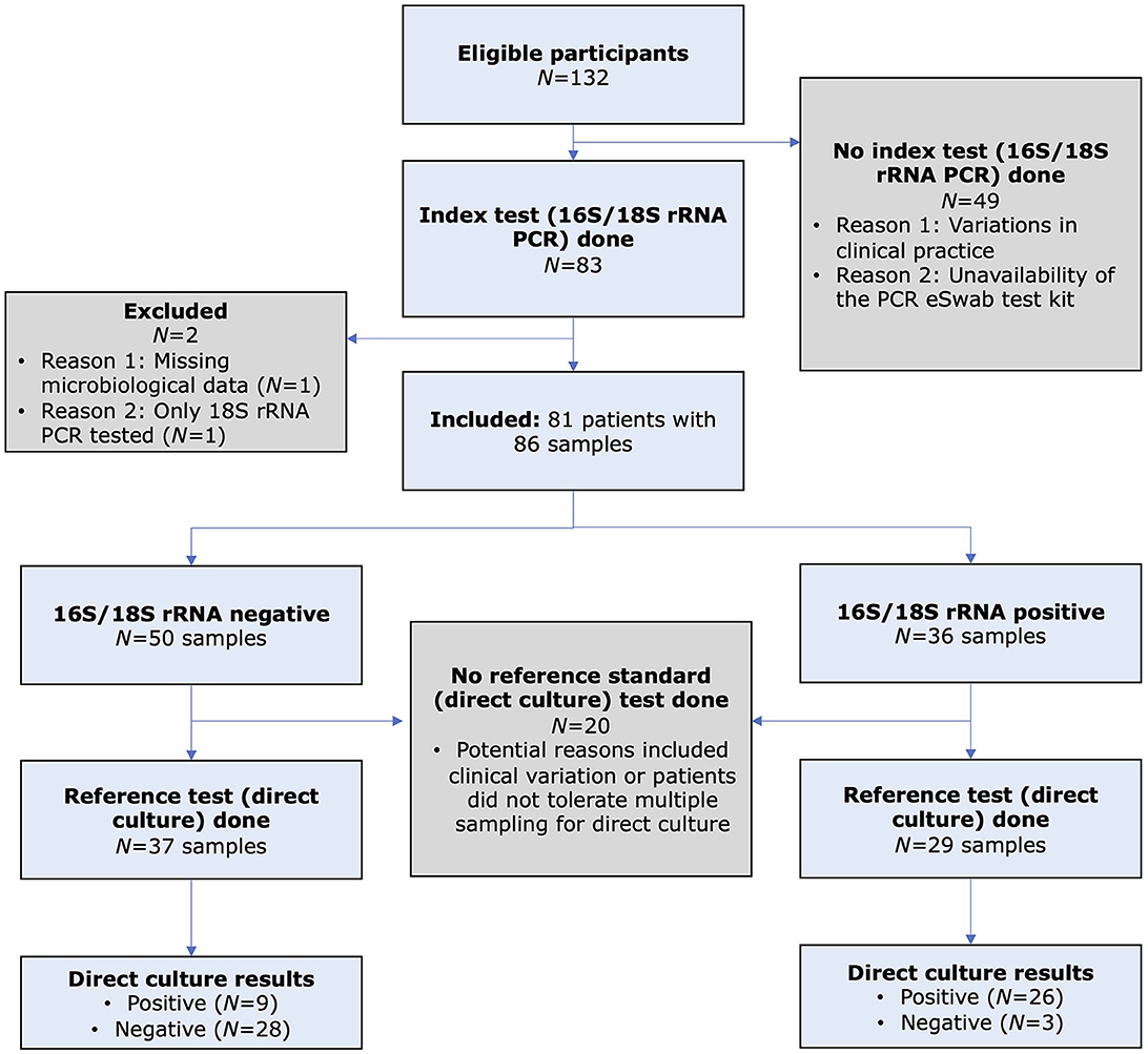 Frontiers | Microbiological culture versus 16S/18S rRNA gene PCR-sanger ...