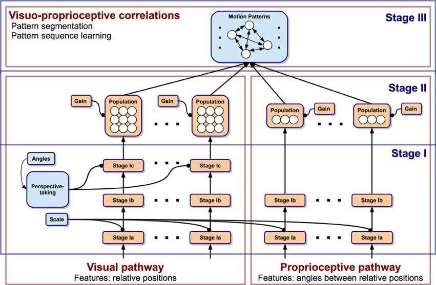 Frontiers | Embodied learning of a generative neural model for ...