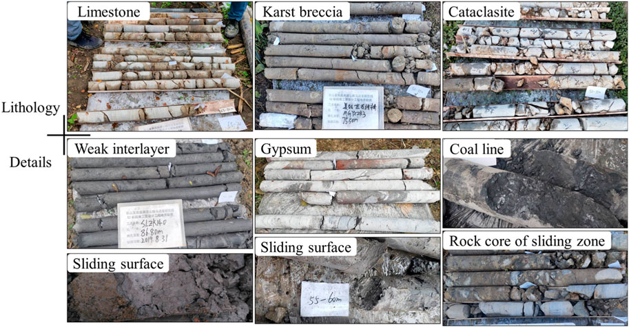 Frontiers | Generative probabilistic prediction of precipitation ...
