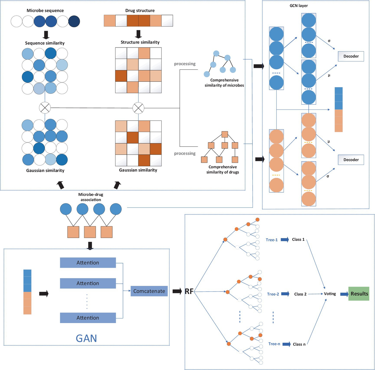 Frontiers | Prediction of microbe–drug associations based on a modified ...