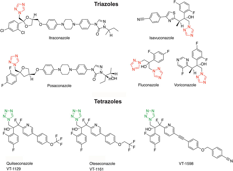 Frontiers | Assessment of the potential risk of oteseconazole and two ...