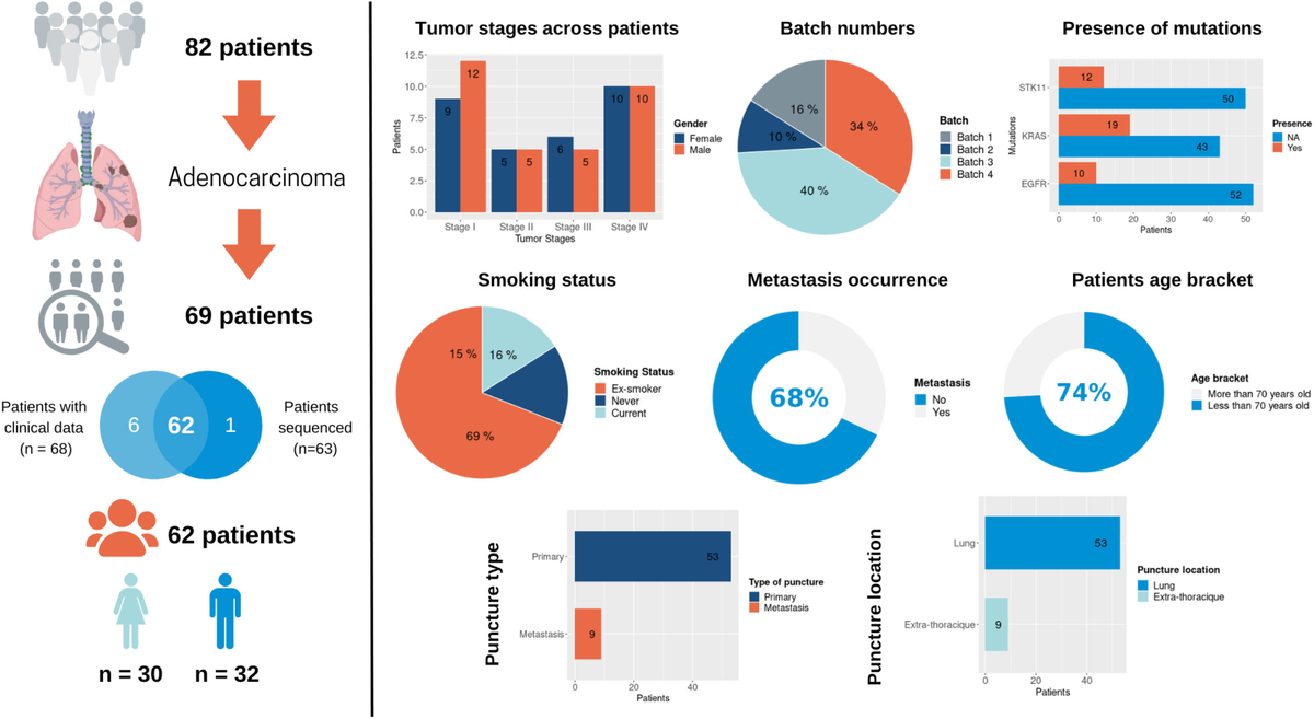 Frontiers | Transcriptomics profiling of the non-small cell lung cancer ...