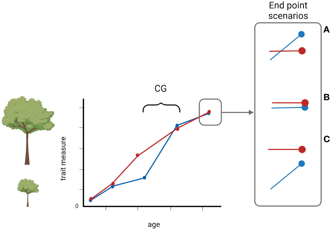 Frontiers | Editorial: Compensatory growth: an adaptation to ...