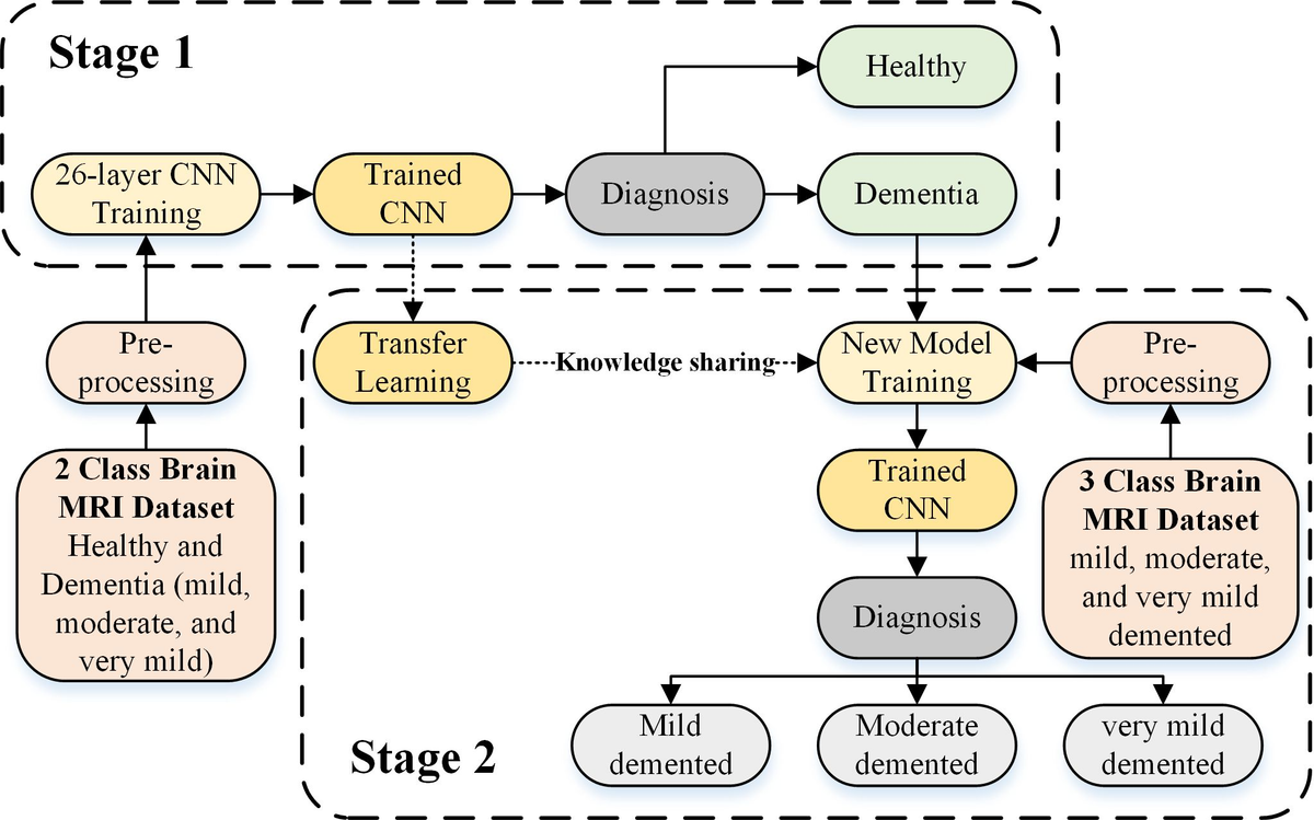 Frontiers | Enhancing Alzheimer’s disease diagnosis and staging: a ...